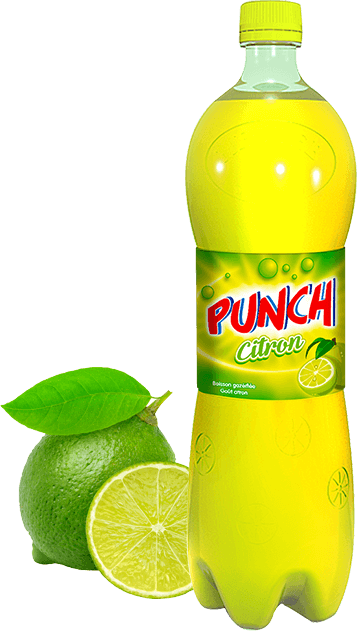 Punch citron – Delice Holding